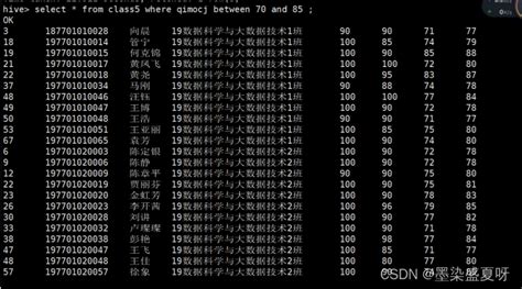 使用hive进行大数据项目分析 基于hive的数据分析 csdn博客