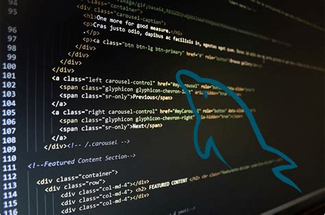 mysql入門者必見！mysqlとデータベースの基礎を徹底解説！ codecampus