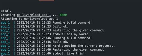 Live Reloading A Go Application With Docker