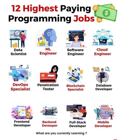 programming jobs