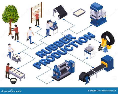 Rubber Production Isometric Flowchart Stock Vector Illustration Of
