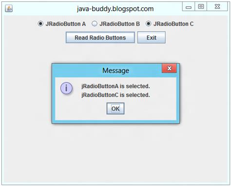 java buddy example of using swing jradiobutton