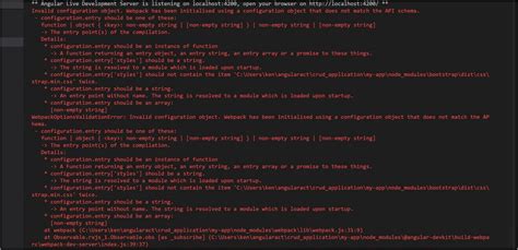 Javascript Invalid Configuration Object Webpack Has Been Initialised