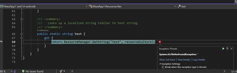 System IO FileNotFoundException With Resource Localization Issue