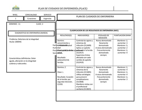 Plan De Cuidado En Formato Pes