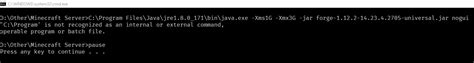 minecraft server java is not recognized as an internal command c program is not recognized