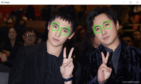 python使用opencv进行图像人脸、眼睛识别实例演示 腾讯云开发者社区 腾讯云