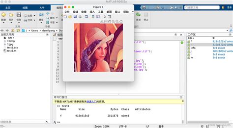 8 matlab基础 利用imread 函数读取一幅图像 假设其名为flower tif 存入一个数组中 csdn博客