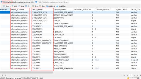网安学习day13（mysql注入） mysql 怎么给useinfromation csdn博客