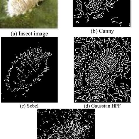 different edge detection methods download scientific diagram