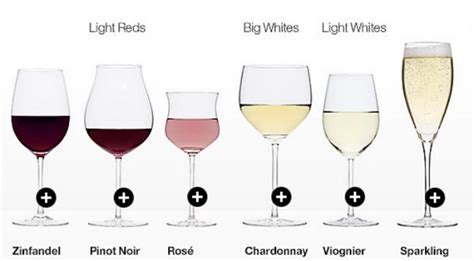 10 Different Types Of Wine Glasses Explained Infographic