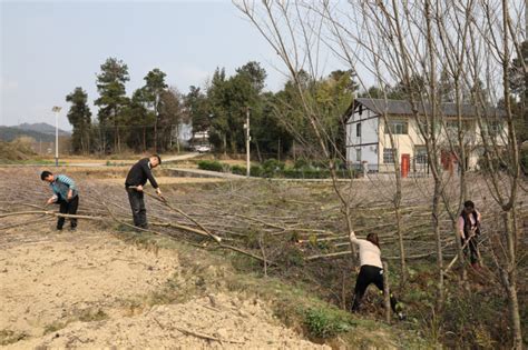 粮食安全风华镇全力推进非粮化整治 守牢耕地红线 腾讯新闻