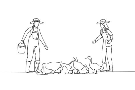 Un Couple Dagriculteurs Dessinant Une Ligne Continue Nourrit Les Oies Pour Quelles Soient En