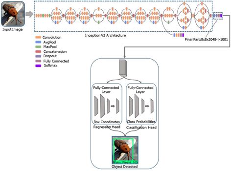 j imaging free full text a deep learning model for real time red palm weevil detection and
