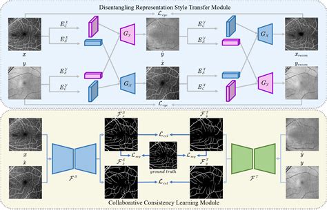 unsupervised domain adaptation for cross modality retinal vessel segmentation via disentangling