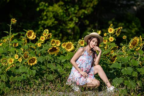 Picture Posing Hat Young Woman Legs Asiatic Flowers Helianthus Sit