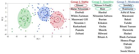 k means cluster analysis and clustering of the 33 tested varieties into download scientific