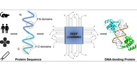 improving dna binding protein prediction using three part sequence order feature extraction and