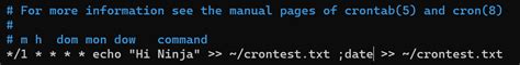 Linux Crontab And At Naukri Code