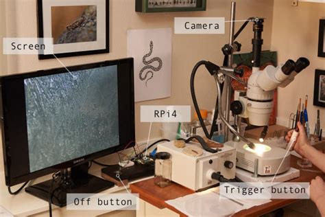 raspberry pi microscope camera armin s notebook