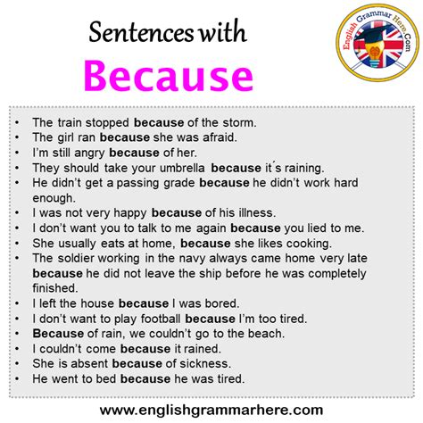 Sentences With Because Because In A Sentence In English Sentences For Because English