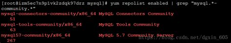 centos安装配置mysql数据库图文详解 csdn博客