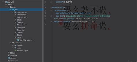 shiro整合springboot项目实战 shro集成springboot的实战框架 csdn博客