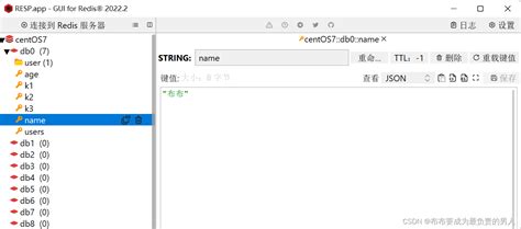 redis：原理速成 项目实战——redis的java客户端 redis java 开发实战 csdn博客