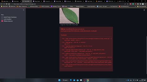 Python OSError SavedModel File Does Not Exist When Deployed Through