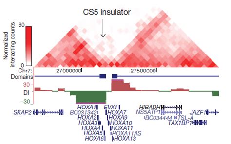 R Rotate Upper Triangle Of A Ggplot Tile Heatmap Stack Overflow