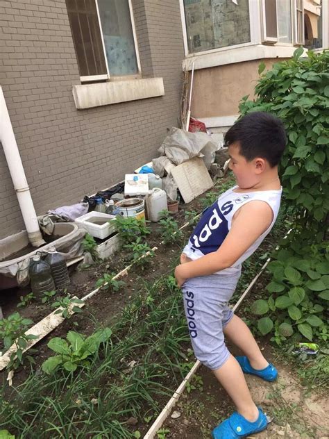 孩子随地大小便图片 图库 五毛网