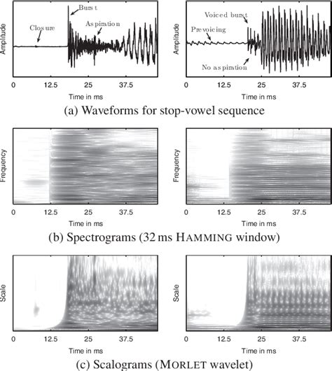 figure 1 from automatic english stop consonants classification using wavelet analysis and hidden