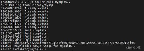 docker安装或删除mysql以及进入数据库 linux 删除docker 里面的mysql csdn博客