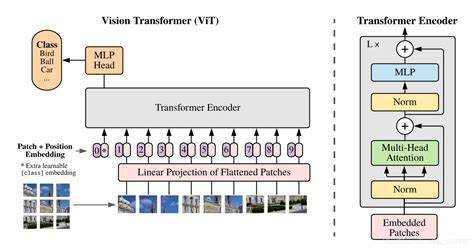 vision transformer详解 csdn博客