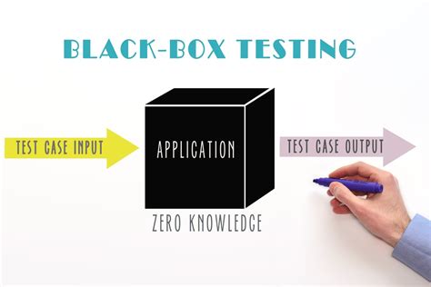 Black Box Testing Techniques For Security Your Guide