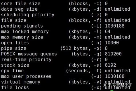 RuntimeError Unable To Open Shared Memory Object Torch 24063