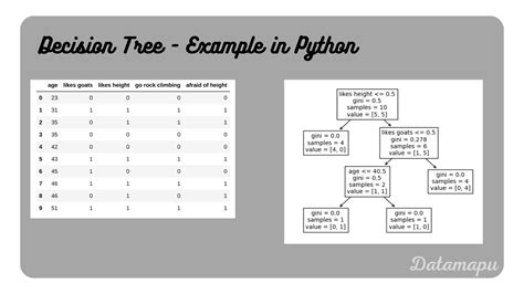 Decision Trees Explained