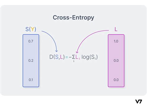 cross entropy loss intro applications code