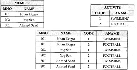 important questions for class 12 computer science python database concepts cbse tuts