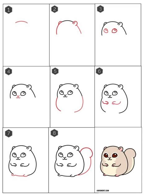 Cartoon Squirrel Drawing Easy Simple Step By Step
