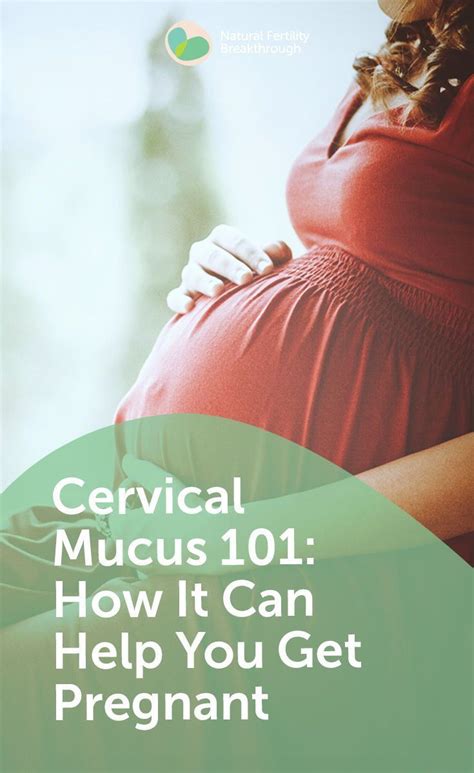 Cervical Mucus 101 How It Can Help You Get Pregnant Read On To Learn More About Cervical Mucus