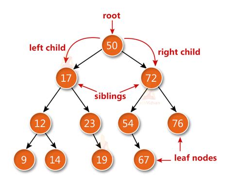 binary tree in c types and implementation techvidvan