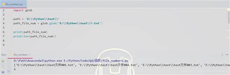 python~获取指定路径下的文件数量 打印某个路径的数据量 csdn博客