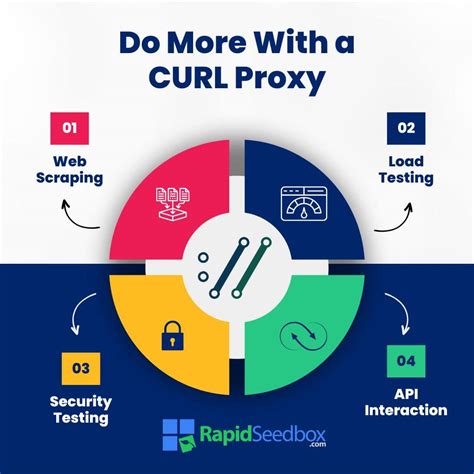 CURL Proxy A Beginner S Guide RapidSeedbox