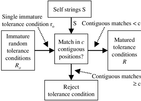 the negative selection algorithm download scientific diagram