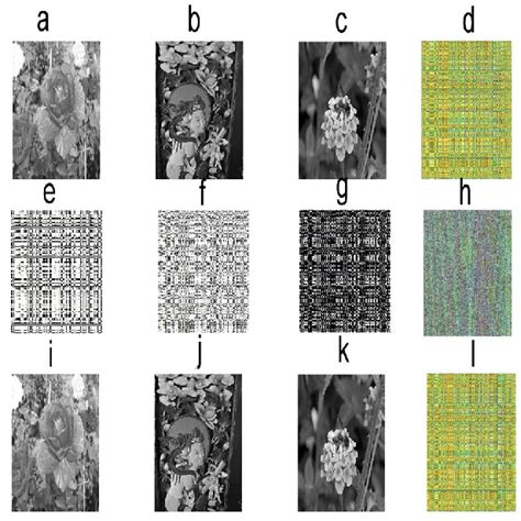 the steganography process for n 8 bits a c the original gray download scientific diagram