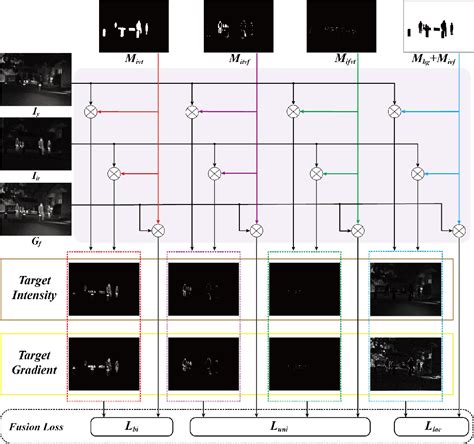 semantic region adaptive fusion of infrared and visible images via dual deeplab guidance