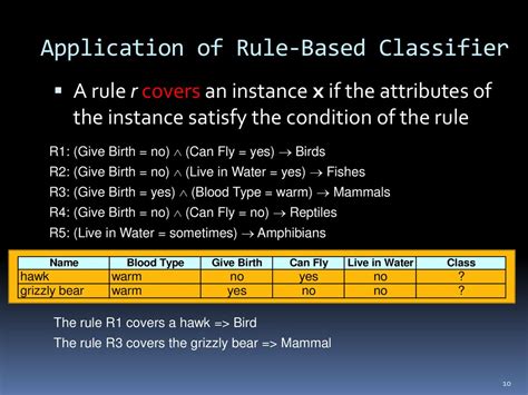 data mining rule classifiers ppt download