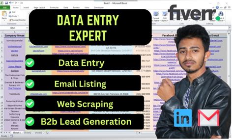 Do Data Entry Web Research And Web Scraping In A Perfect Excel Sheet