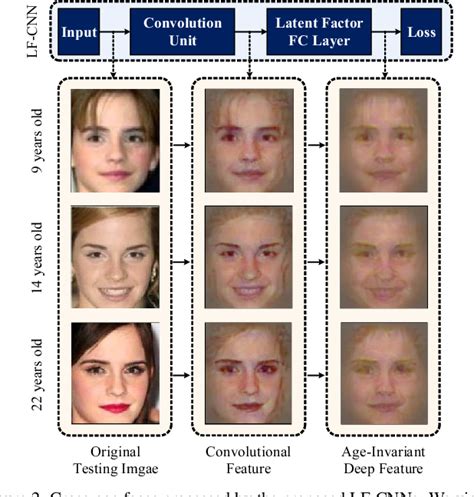 figure 2 from latent factor guided convolutional neural networks for age invariant face